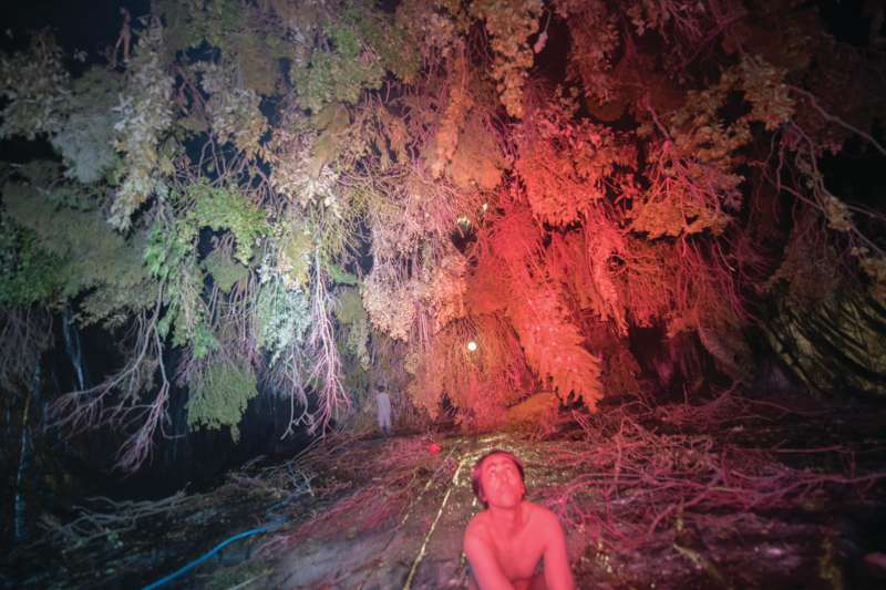 시가 리에코 〈Human Spring〉